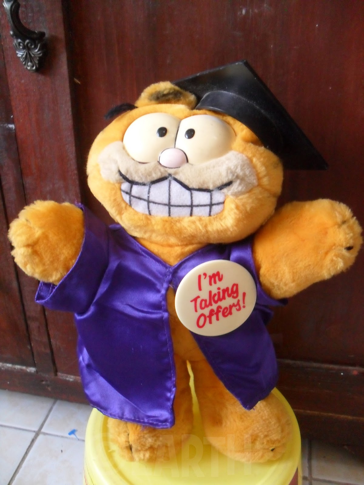 My Garfield Collection: GRADUATED GARFIELD