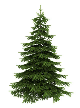 NOUGAT: Kotivinkki Joulu 2011