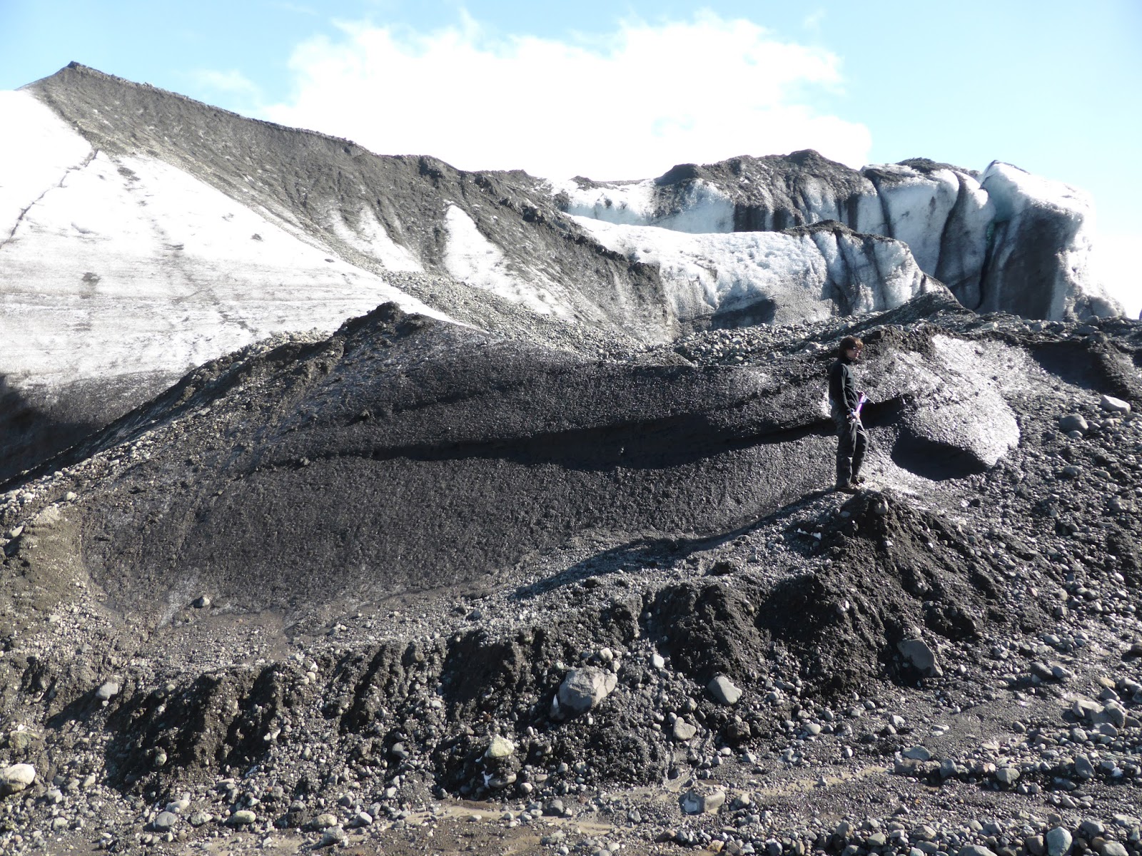 Basal ice microbiology at Svínafellsjokull: Debris bands