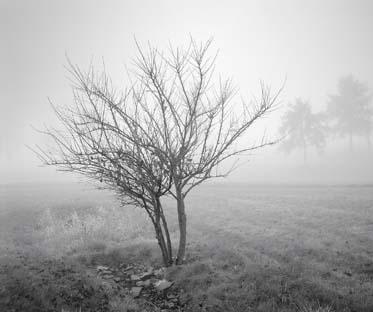 Psicología del Color.: Gris