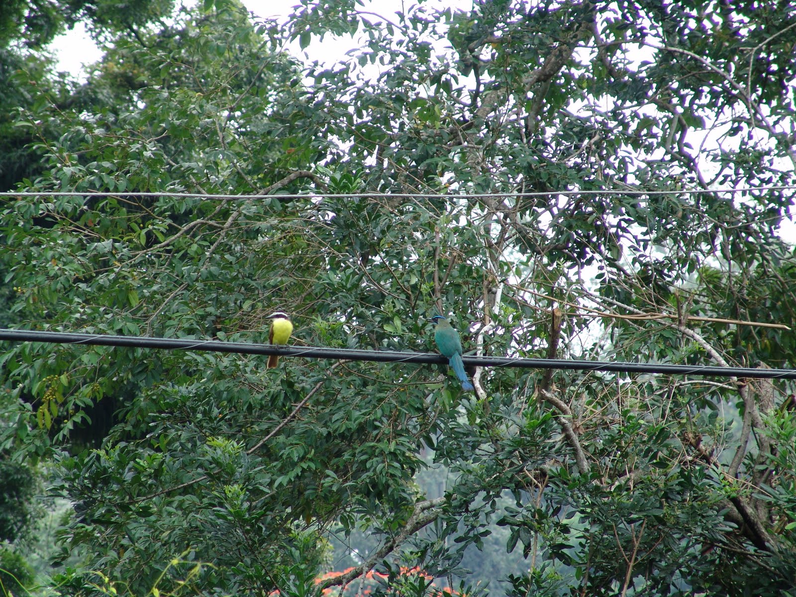 Leonhard en El Salvador