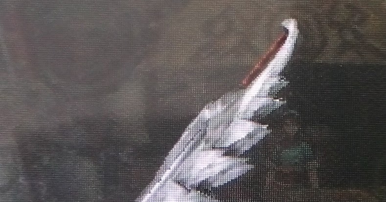 Great Sword: Ukanlos Series - MHP3rd Weapon Tree