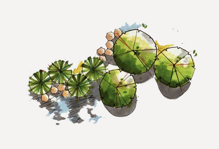 BA Garden Design Y3 Greenwich Uni - Robert Dickie: Hand/PC rendering of ...