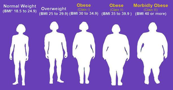 脳卒中になったらBMI35を目指せ | 脳卒中サバイバのゼンデラ Ⅱ