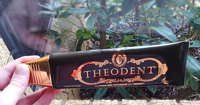 Review: Theodent Toothpaste - Wellness by Kels