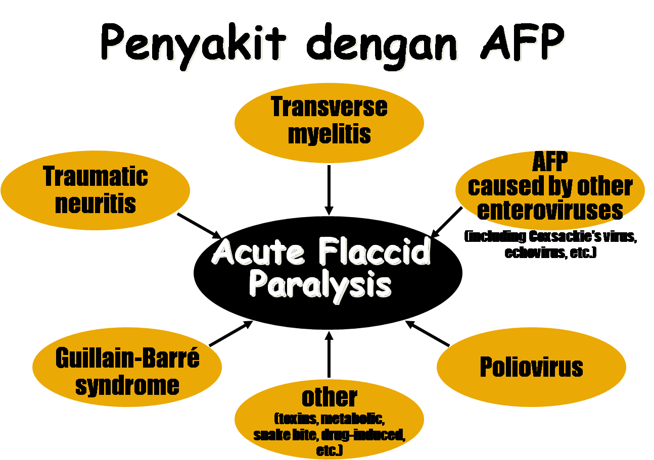 AFP (Accute Flacid Paralysis) ~ Health Policy And Administration