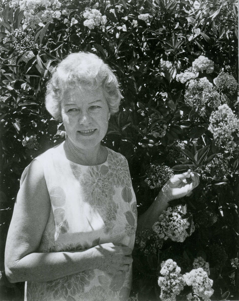 Vintage Air: Tales from the Flying Circus, Part Deux