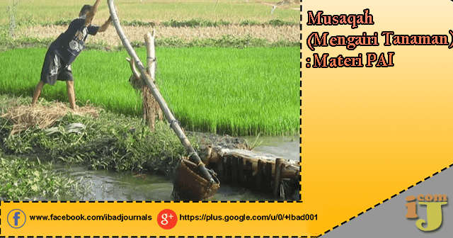 Musaqah (Mengairi Tanaman) : Materi PAI | IJ.COM