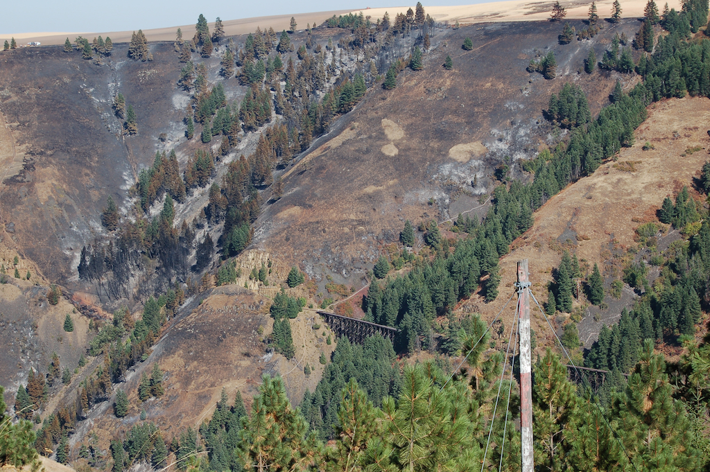 Idaho's Panhandle Railroad: Bridge fire in Lapwai Canyon