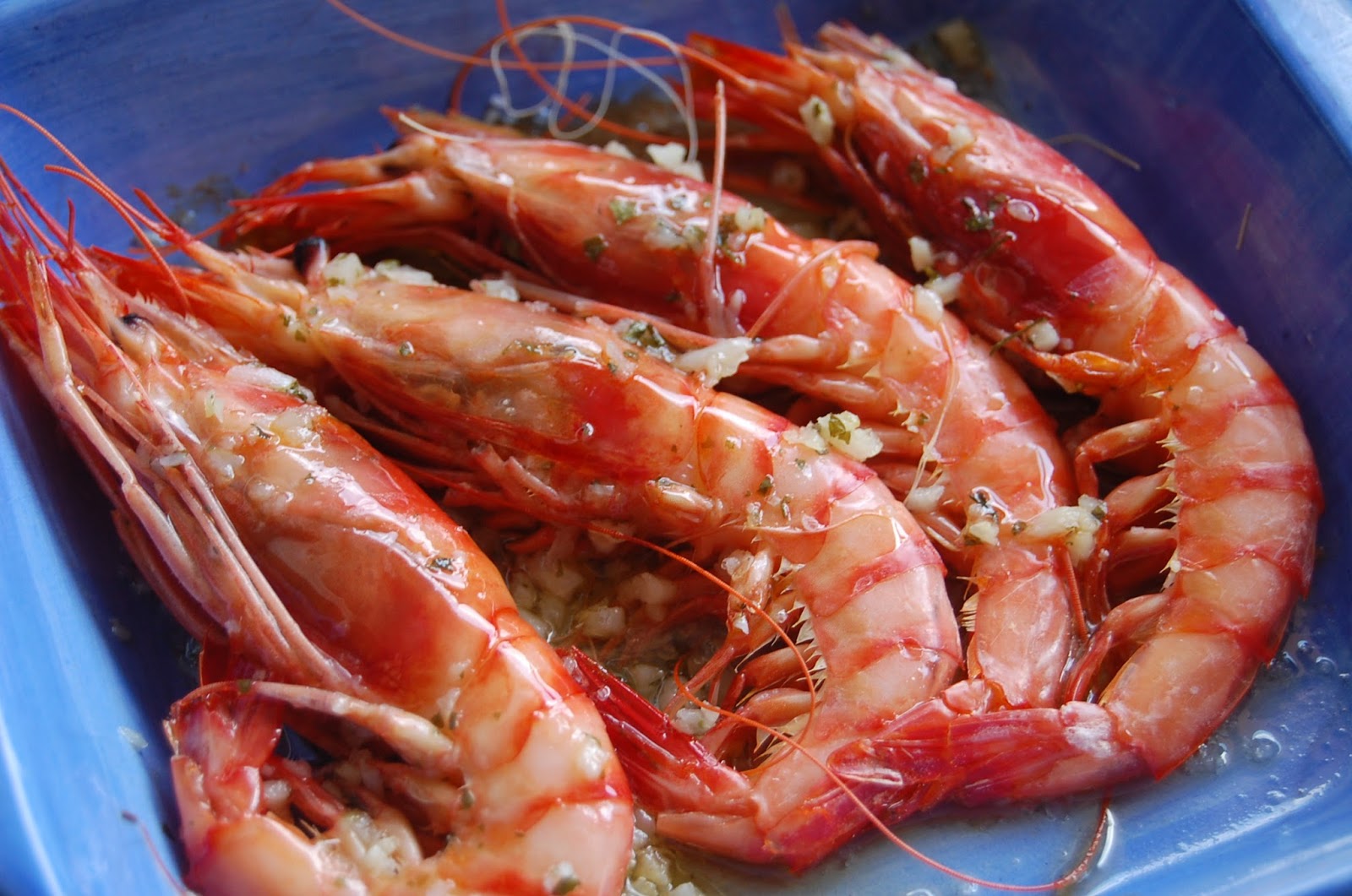 MAR DULCE: GAMBAS AL AJILLO