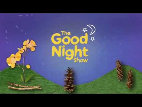 Parents and Kids Share Together: The Good Night Show