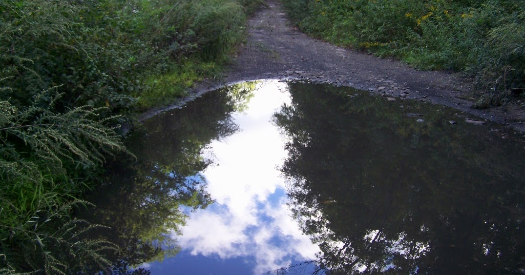 Frank's Place: Big Puddle