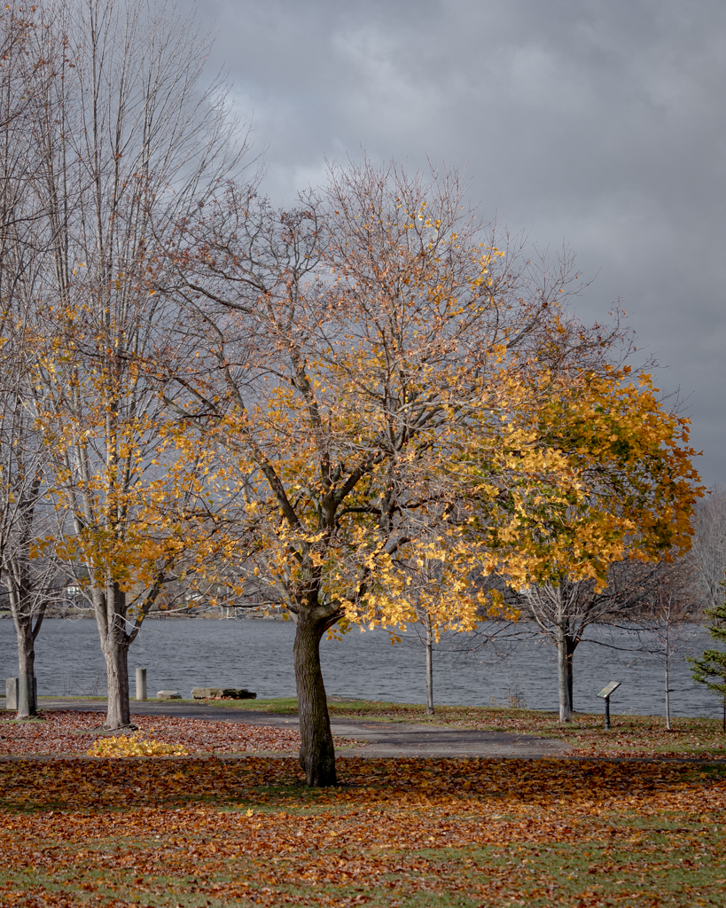 The AC is On: Bleak November