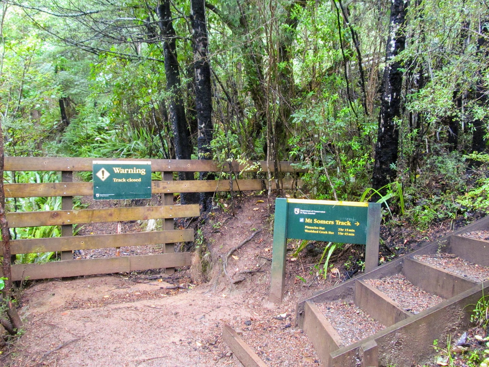 Tramping in the New Zealand backcountry: NZ Bush Adventures: Pinnacles ...