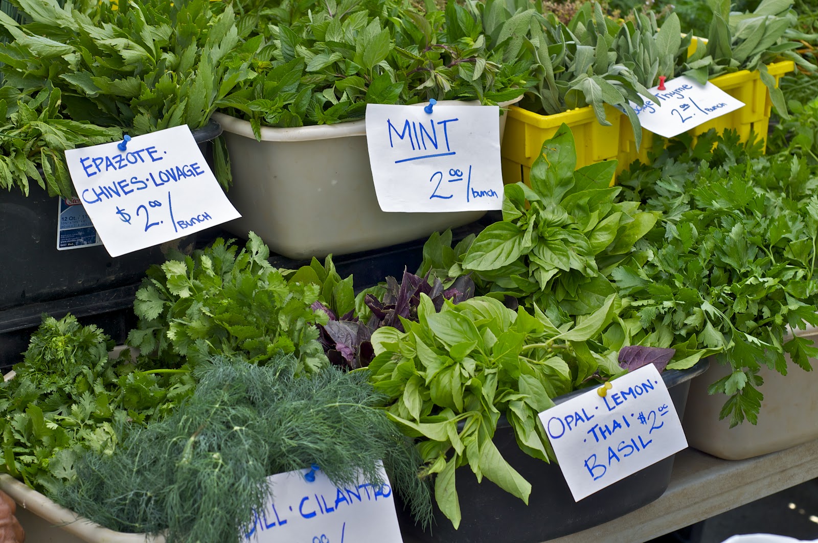 Making Michael Pollan Proud: McCormick Gourmet Dinner Party Chain Feast