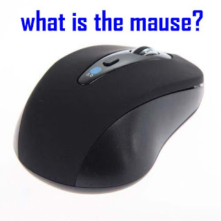 What is the Mouse,Processor,Memory? - bharatipedia-Technical knowledge ...