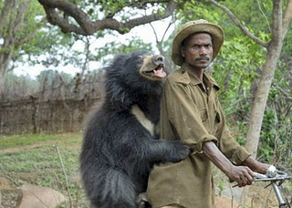 ETC# Encoxada Violenta