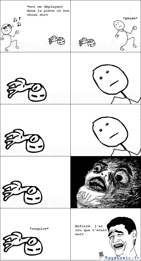 rage comic: rage comic français