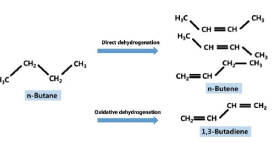 Learning Beyond Limitation: Butene and Butadiene by Oxidative ...