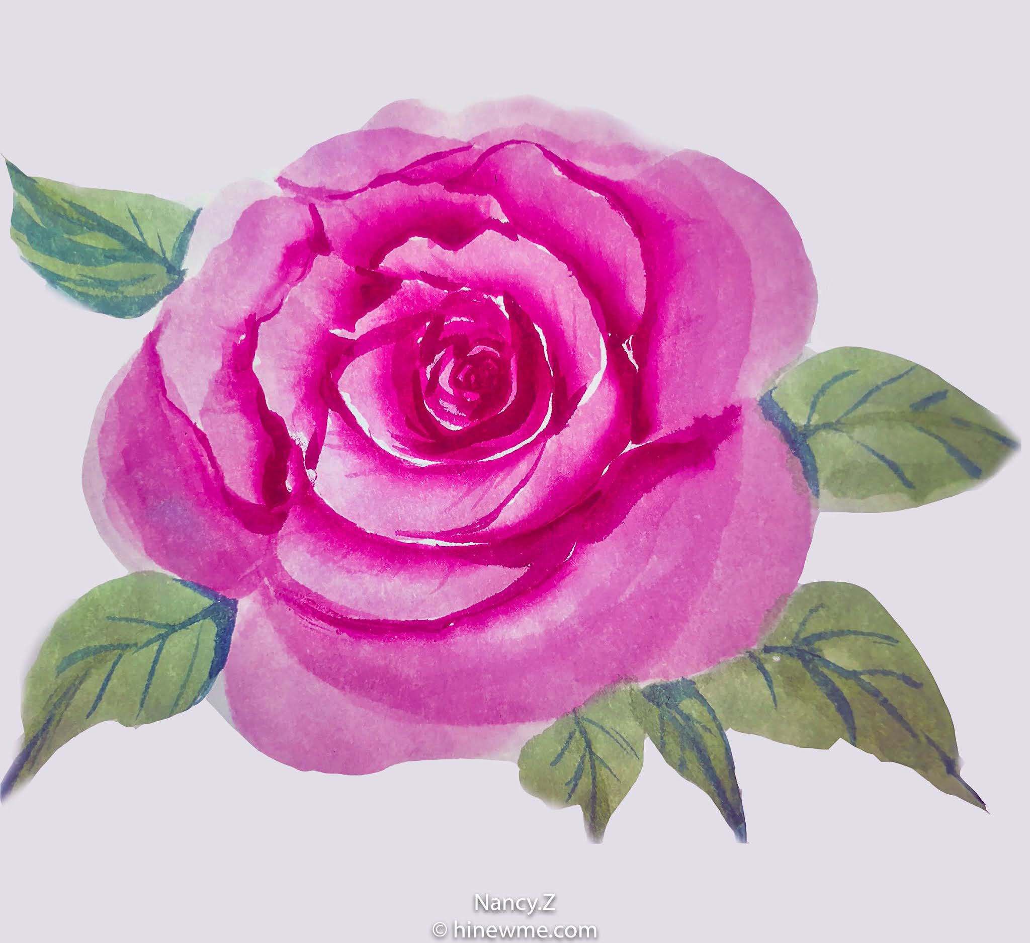 How to draw Watercolor pink rose step by step easy for a beginner, come ...