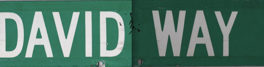 My Life Scanned: David Way Sign (1993)