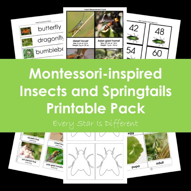 Every Star Is Different: Montessori-inspired Insects and Springtails ...