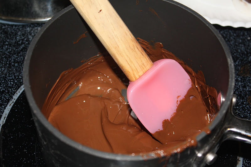 Skip to the Lue: homemade hot chocolate, and peppermint mallow's