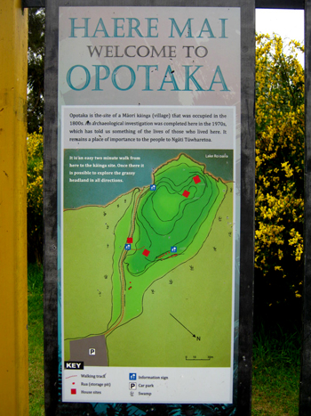 “Ka Mate, Ka Mate’ the Origin of Te Rauparaha’s haka