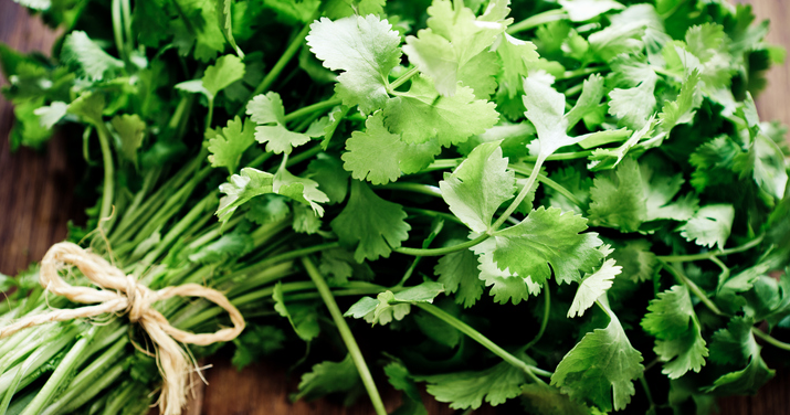 Para Que Sirve El Cilantro - Beneficios Y 4 Remedios