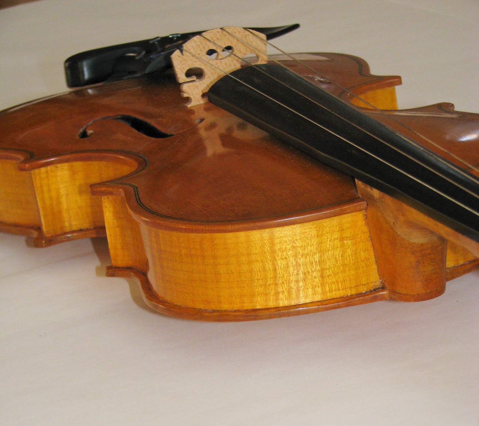 Violins of Plymouth: Gaspard da Salo