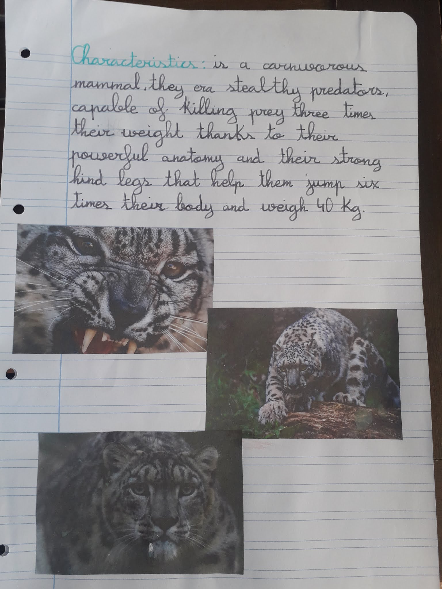 games and songs: Endangered animals projects - 5th Grade