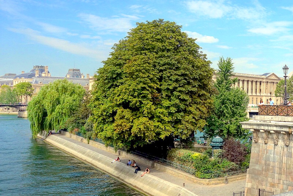 Paris : Square du Vert Galant, jardin romantique et lieu d'histoire ...