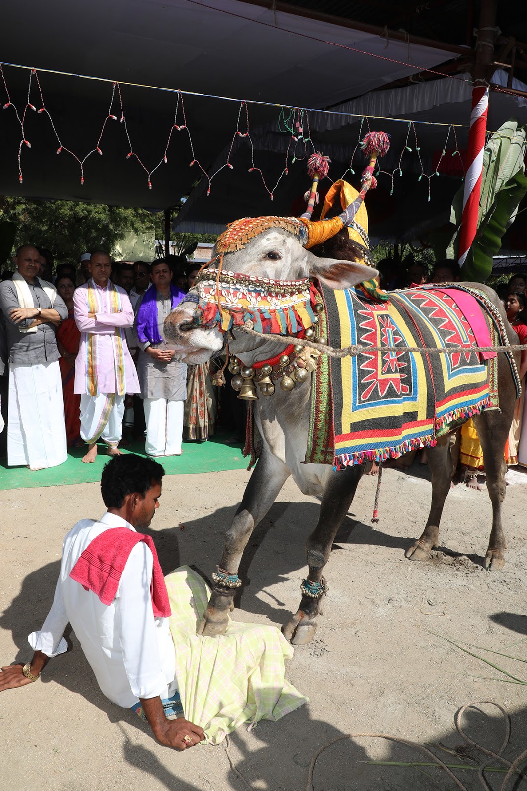 Kanuma Festival Observed with Religious Fervour in Sri Venkateswara ...