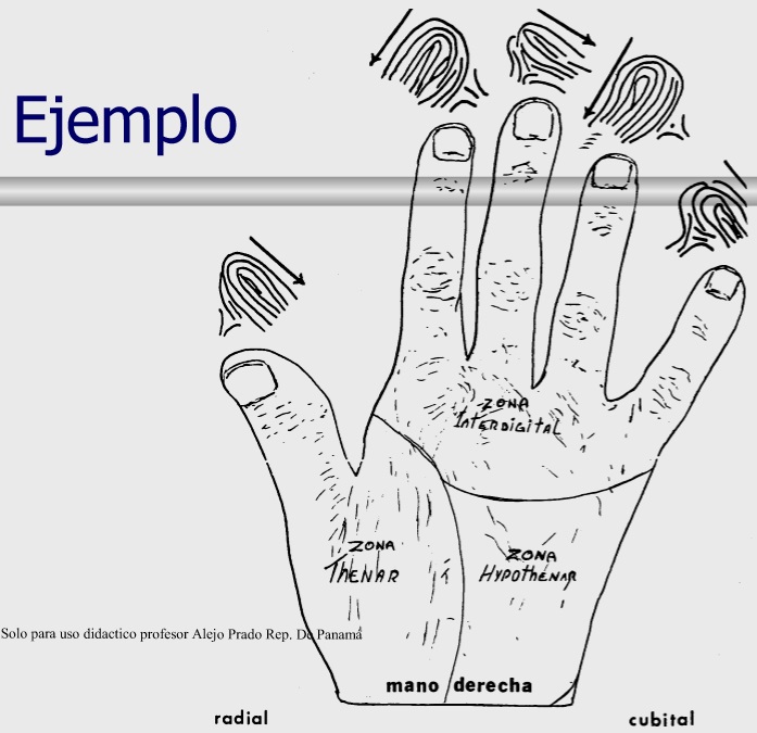 CRIMINALISTICA PANAMA: 2020