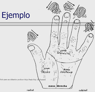 CRIMINALISTICA PANAMA: MODULO 1 IDENTIFICACIÓN Y CLASIFICACIÓN DE ...