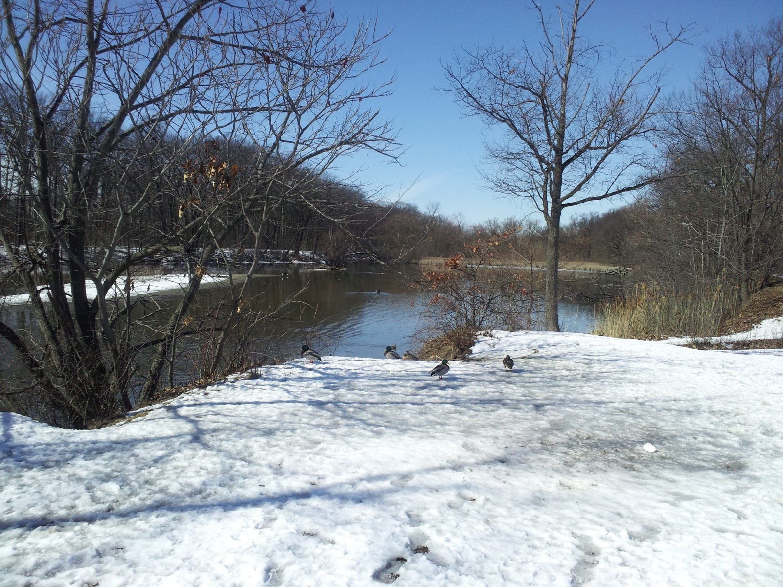 Jeff Smith's Blog: Nankin Lake, Livonia Michigan