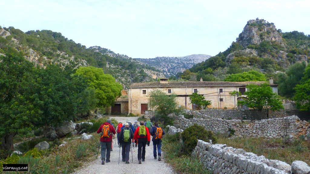 Viaranys: Forat de Can Bajoca a la serra Mitjana