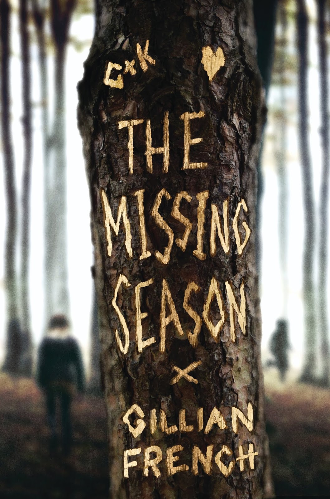 The Way I See It: The Missing Season by Gillian French