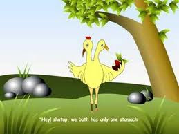 Friends 4 Nature: The Bird with Two Heads