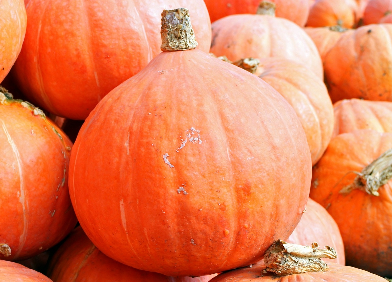 Mijn kookavonturen: 5 heerlijke recepten met pompoen