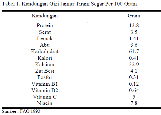 Jamur Tiram: Budidaya, Syarat Tumbuh, Manfaat, Kandungan Gizi