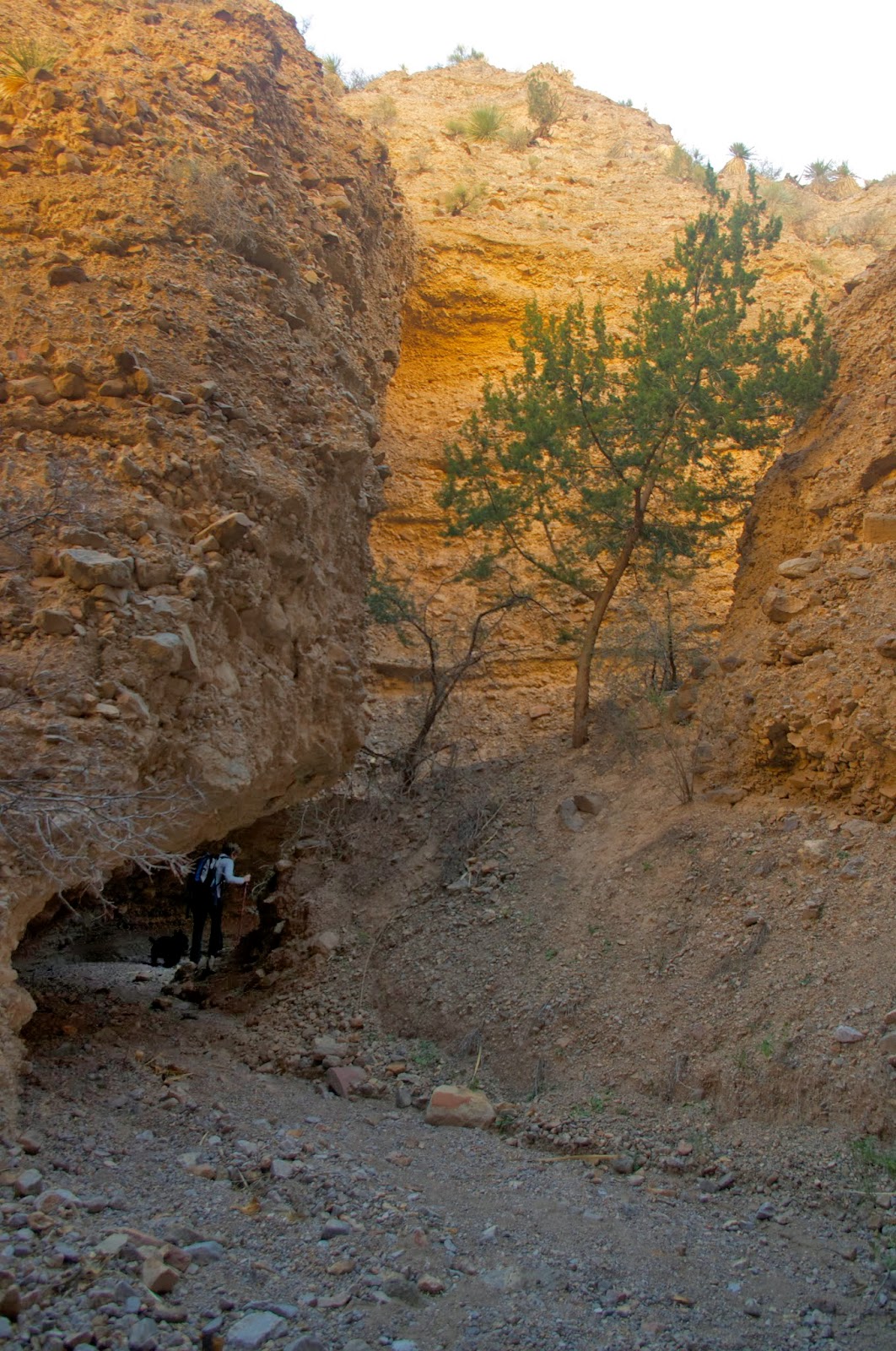 Southern New Mexico Explorer: Robledo Mountains Wilderness - "Twin Slot ...