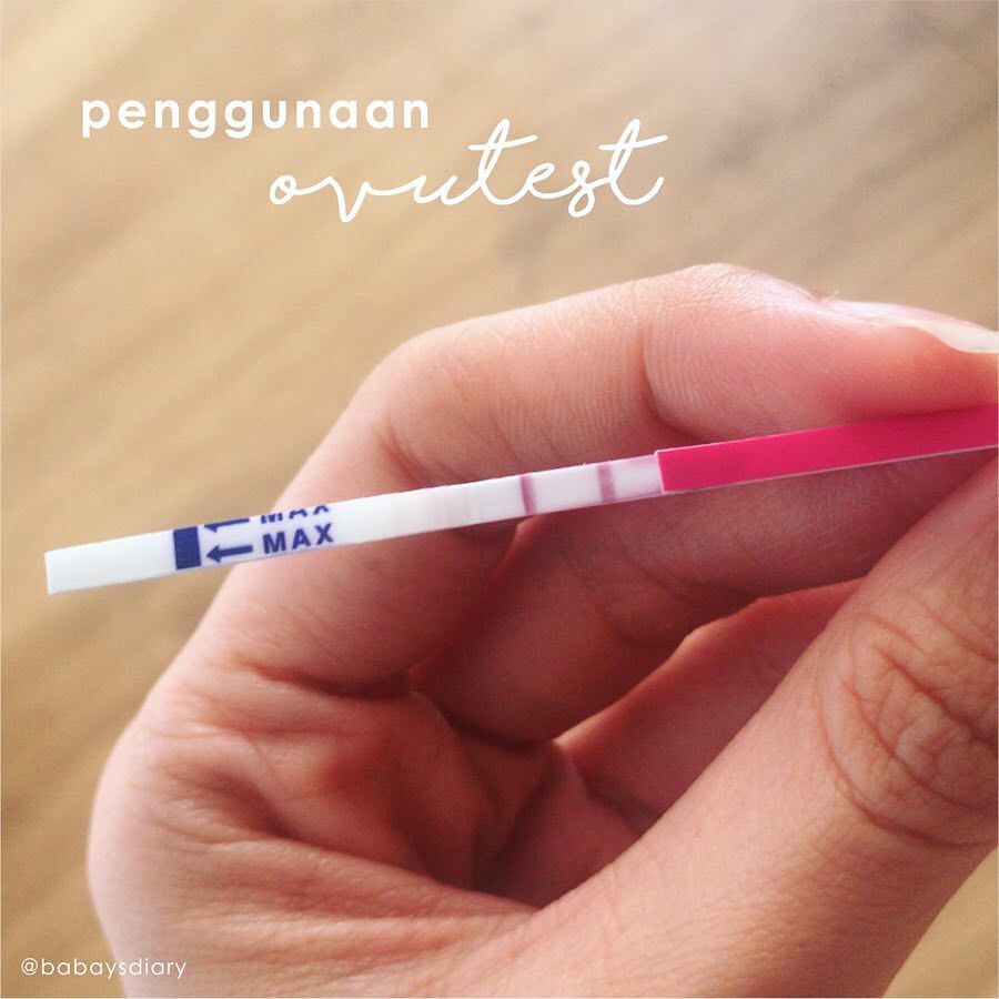 PENGGUNAAN OVUTEST ~ nichosdiary