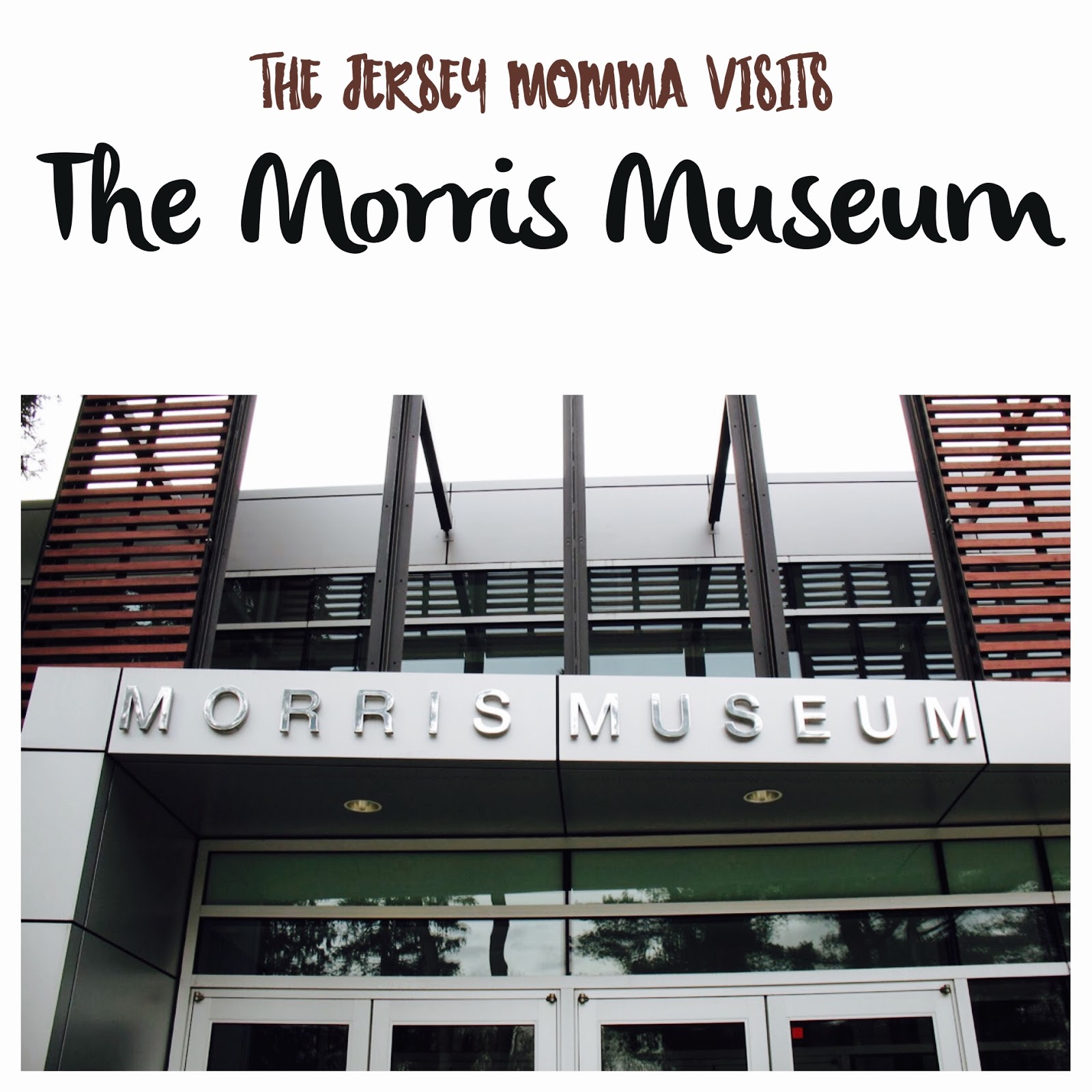 A Review of The Morris Museum | The Jersey Momma