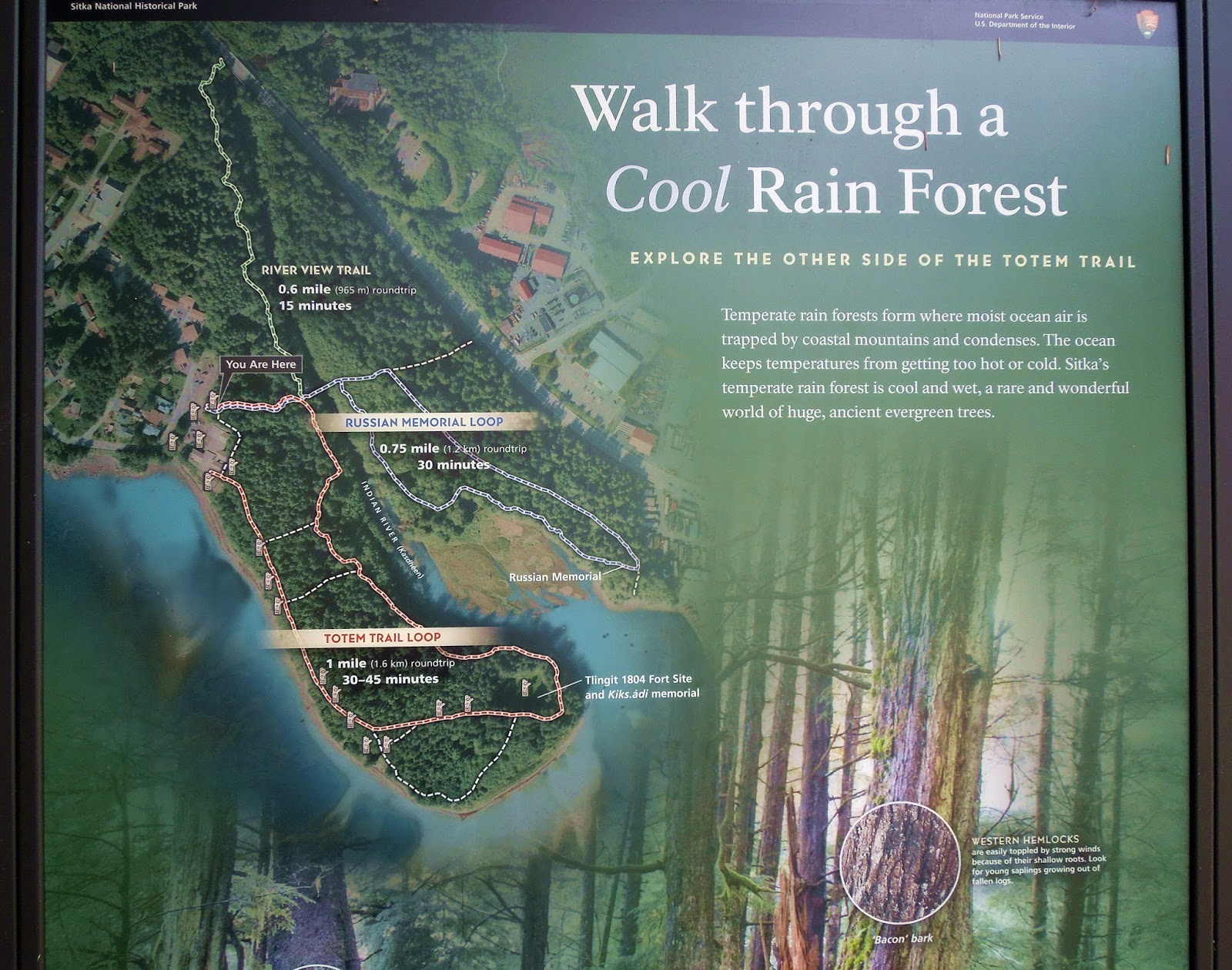 Focusing On Travel : Sitka Alaska - Totems, Trails, and Trees