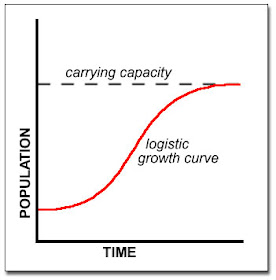 Carrying Capacity Dashboard: Carrying capacity by numbers