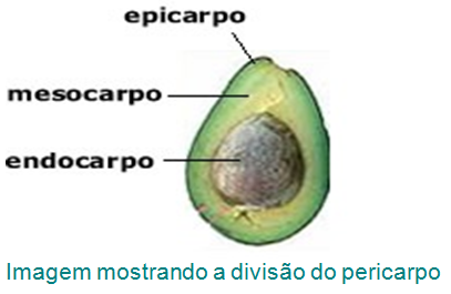 NEEJACP - Núcleo Estadual de Educação de Jovens e Adultos e de Cultura ...