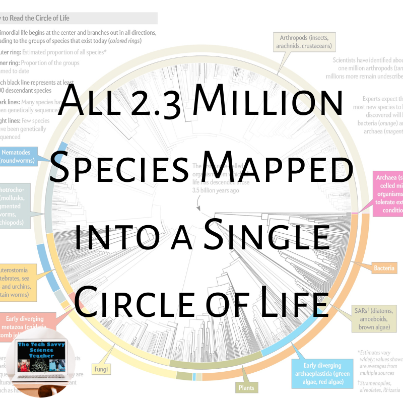 Savvy Secondary Science: All 2.3 Million Species Mapped into a Single ...