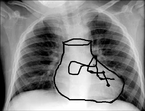 Radiología General.