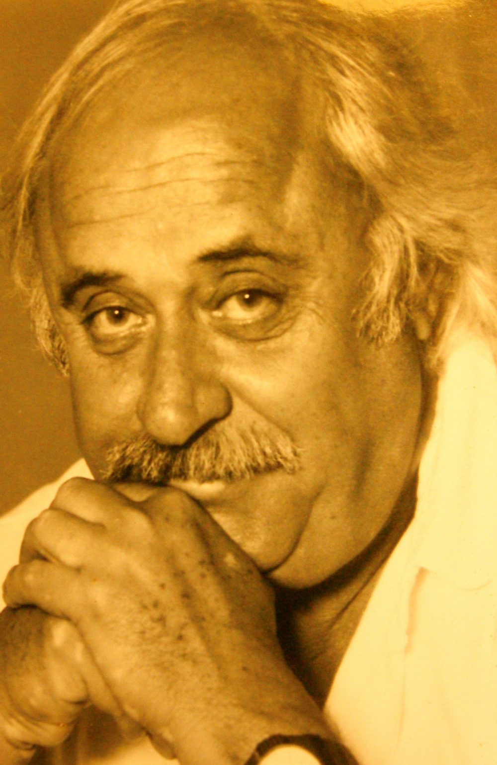 Belén Menéndez Solar: Asturianos en Cuba. La familia Posada Medio